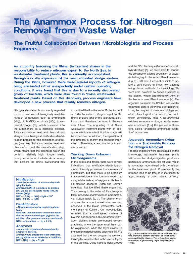 FUX Et Al 2003 The Anammox Process For Nitrogen Removal From Wastewater ...