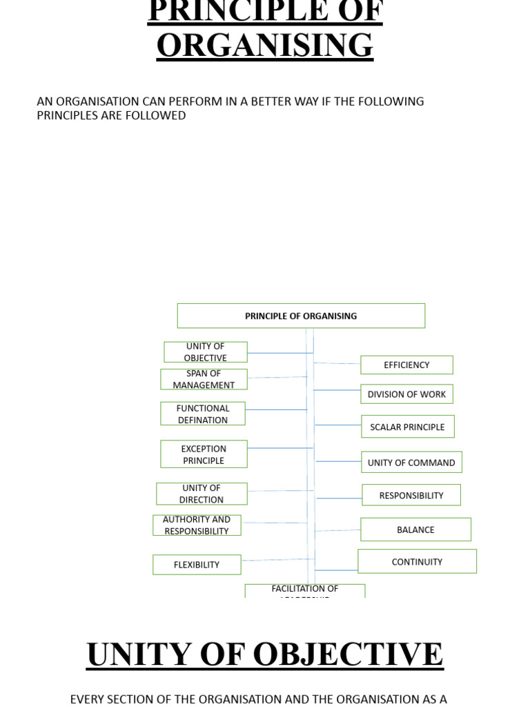 Principle of Organising | PDF | Employment | Social Psychology