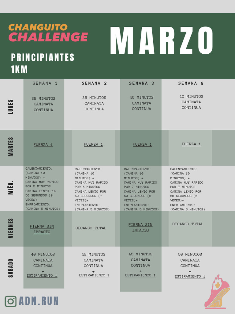 Principiantes 1 1 | PDF