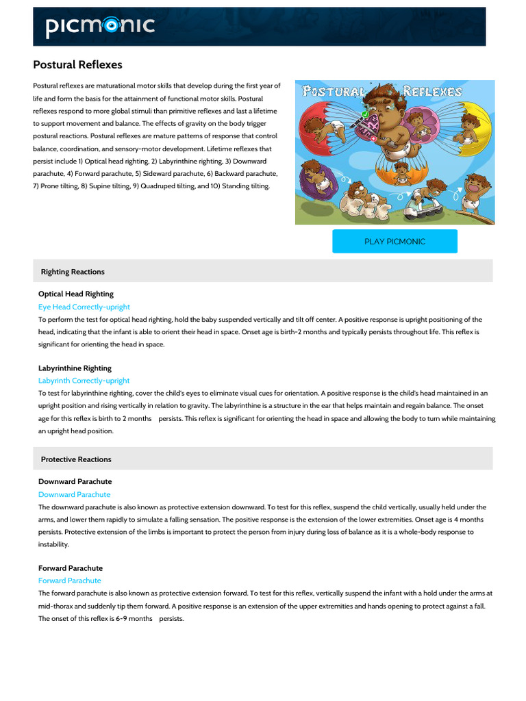 Postural Reflexes: Righting Reactions Optical Head Righting | PDF ...
