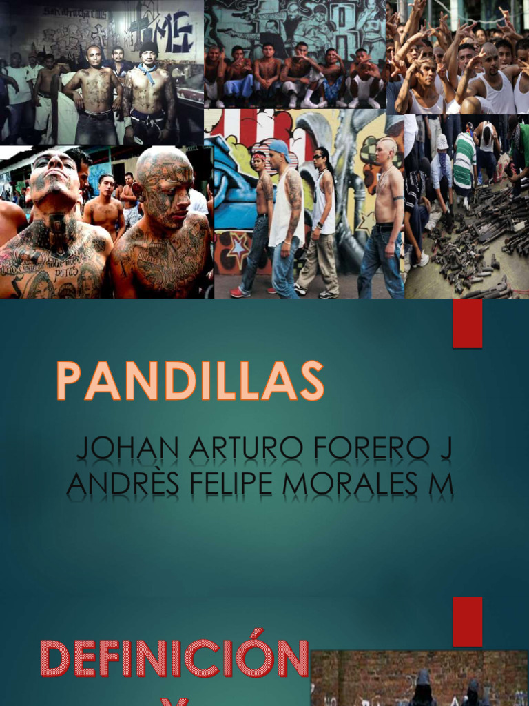 Causas y Efectos del Pandillaje Juvenil | PDF | Pandilla | Comportamiento