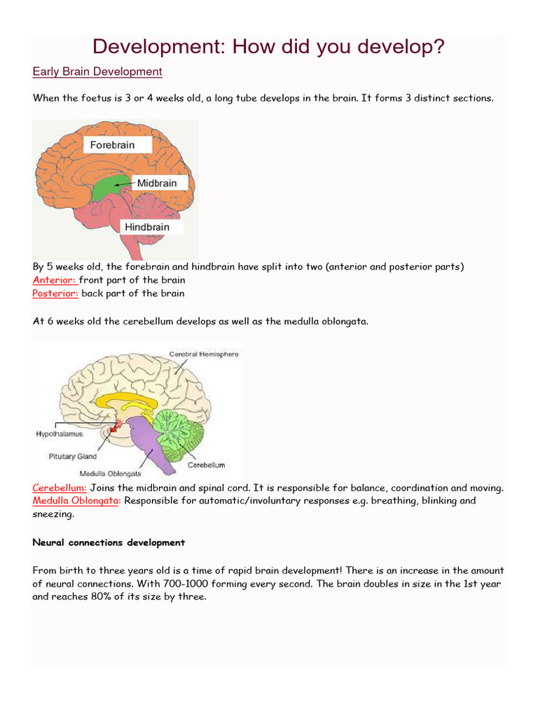 Psychology | Download Free PDF | Memory | Mindset