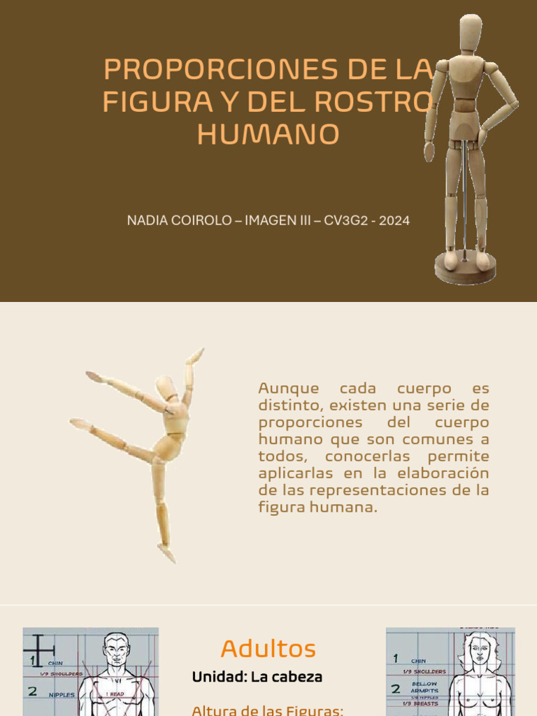 Nadia Coirolo Proporciones De La Figura Humana Y Del Rostro Imagen
