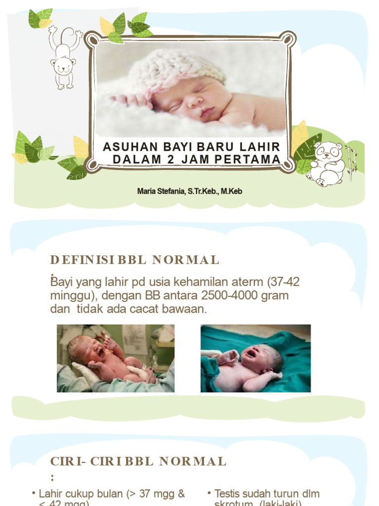 Asuhan Bayi Baru Lahir Dalam 2 Jam Pertama - 2-6 Hari | PDF