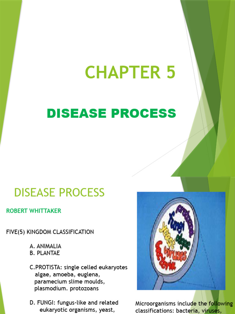 Infectious Disease Process Guide | PDF | Infection | Pathogen