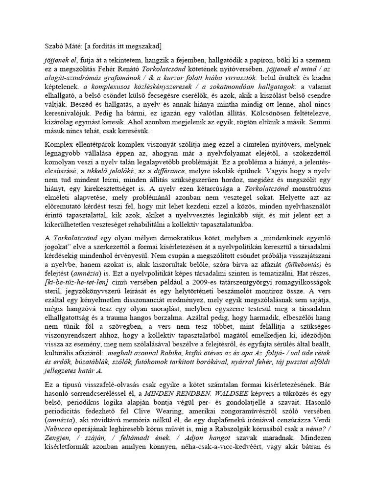 Szabó Máté-Fehér Renátó Kritika | PDF