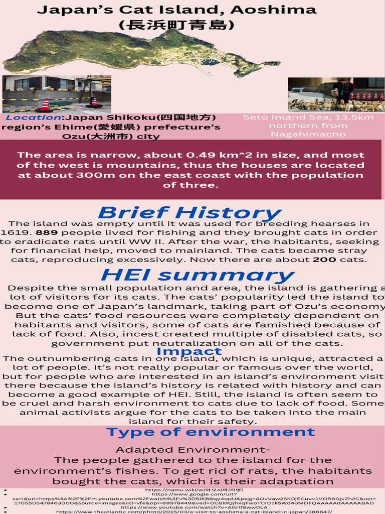 Brief History HEI Summary: Type of Environment | PDF