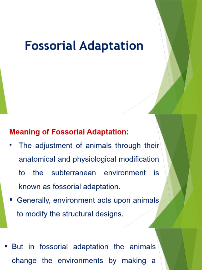 1575 Fossorial Adaptation | PDF | Zoology