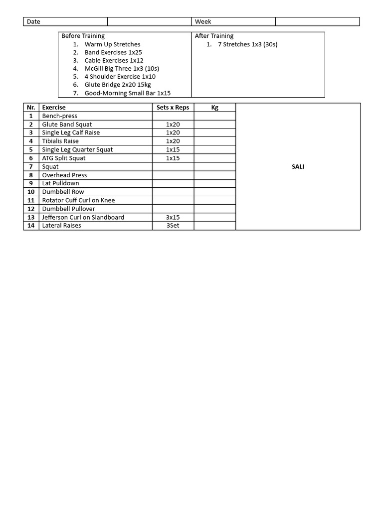Periodization Plan | PDF