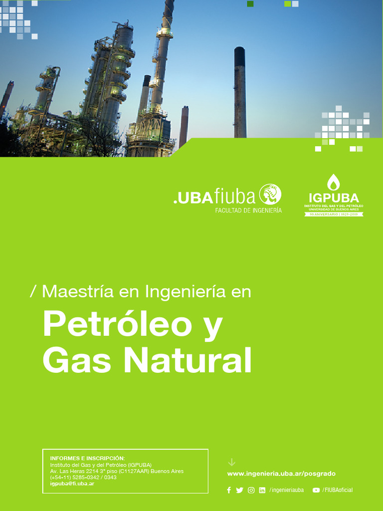 Maestria Petroleo y Gas | PDF | Petróleo | Gas natural