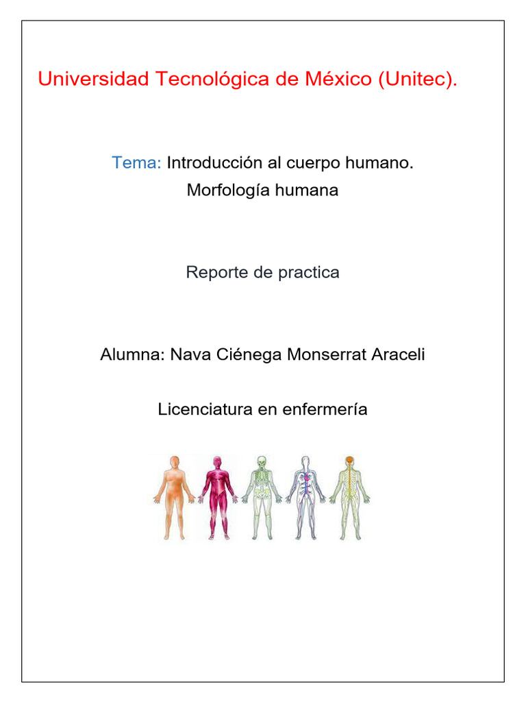 Practica 1 Introduccion Al Cuerpo Humano Pdf Músculo Tórax