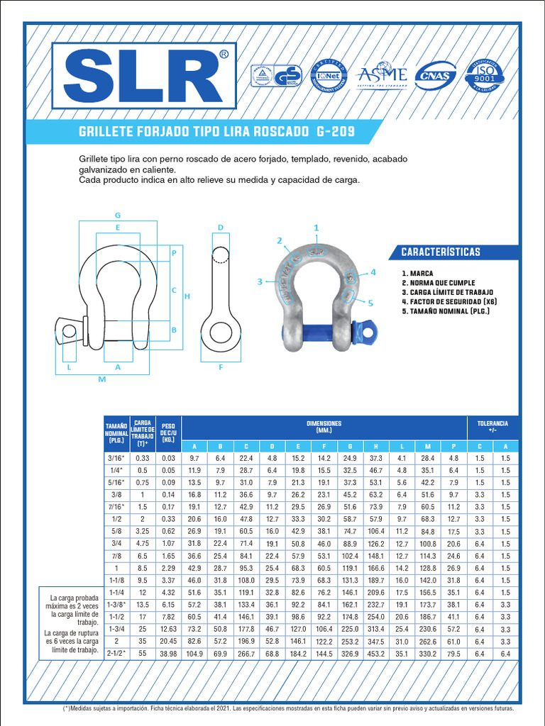 6,7,8.Ft SRL Grillete | PDF 6,7,8.Ft SRL Grillete | PDF