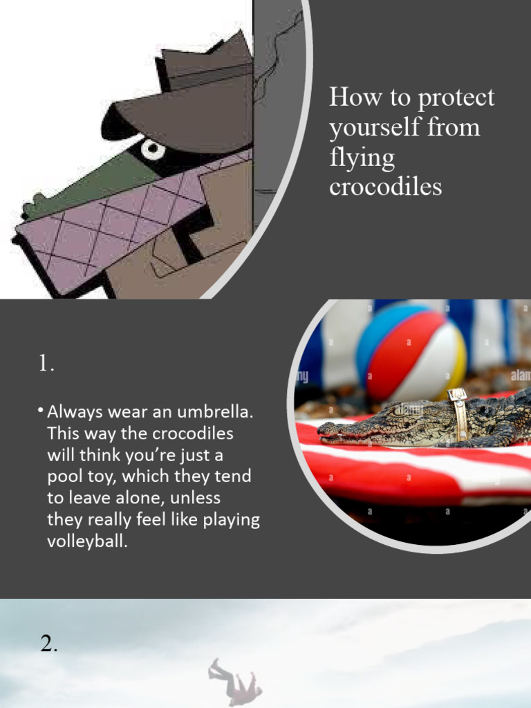 How To Protect Yourself From Flying Crocodiles | PDF | Home & Garden | Art