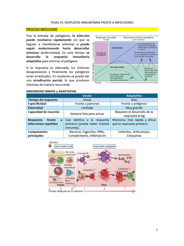 Tema 19. Respuesta Inmunitaria Frente A Infecciones | PDF | Sistema inmune | Sistema inmune innato