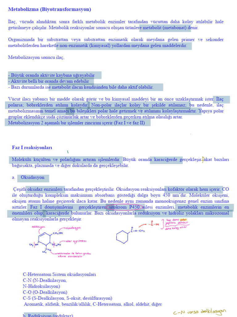 1 Metabolizma | PDF