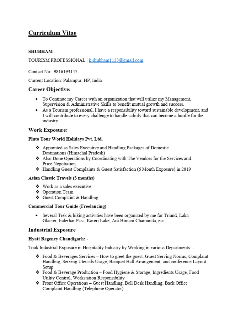 Tourism Professional CV Sample | PDF | Tourism