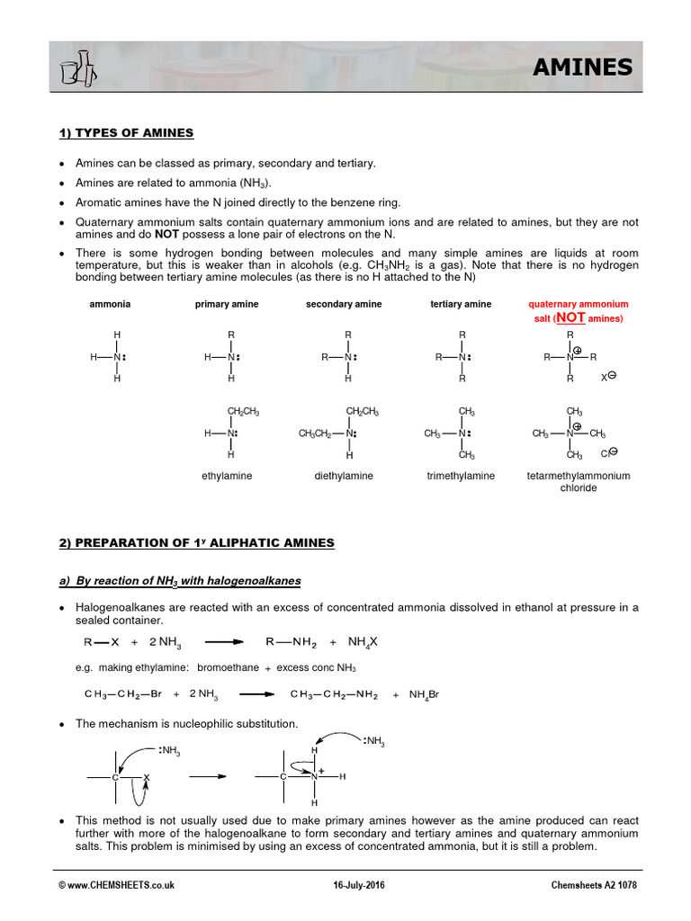 Amines: Types, Preparation, and Reactions | PDF | Amine | Ammonium