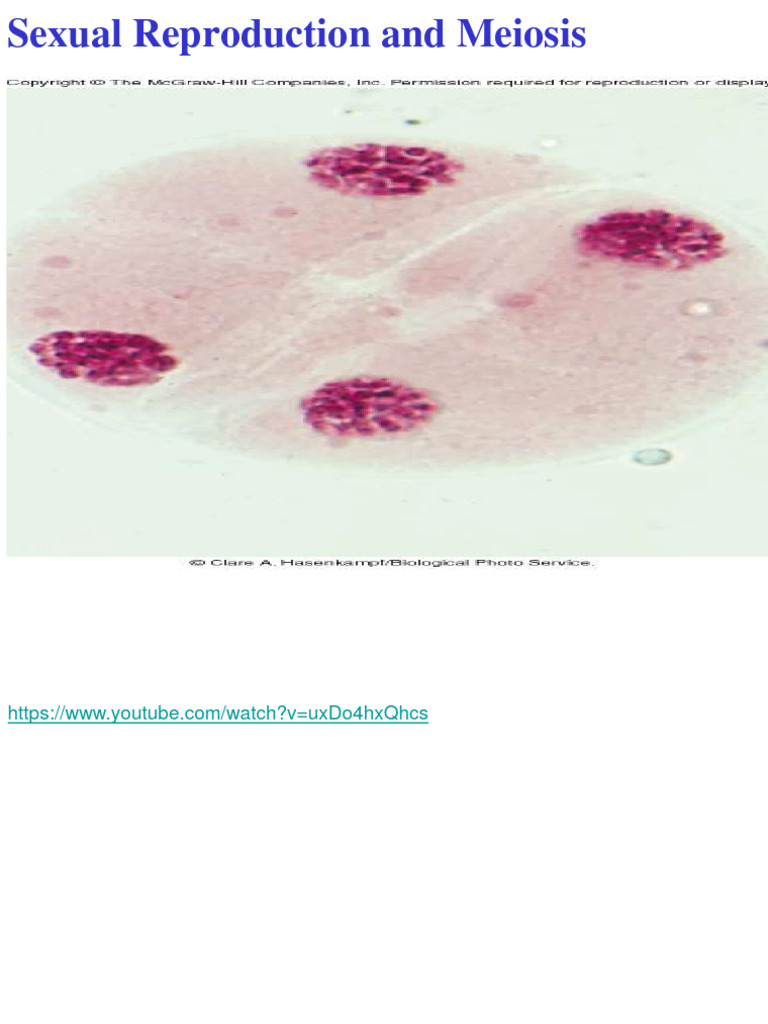 Sexual Reproduction and Meiosis To Students-1 | PDF | Meiosis | Ploidy