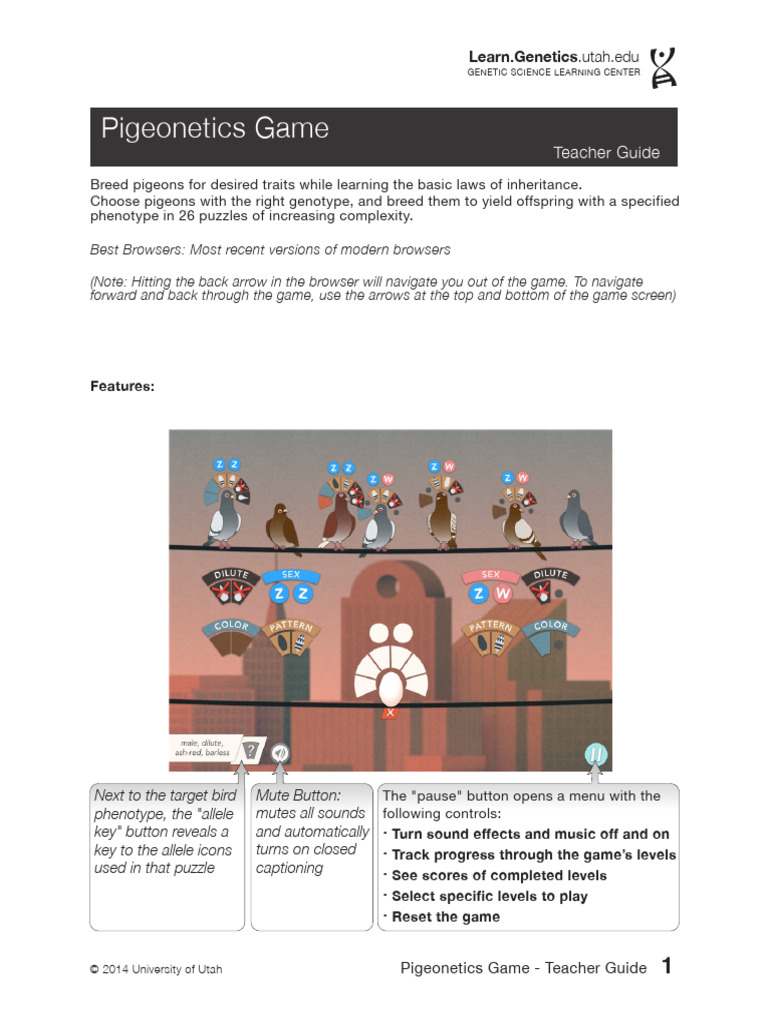 Pigeonetics Game Teacher Guide | PDF | Dominance (Genetics) | Allele