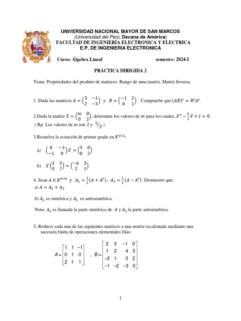 Practica Dirigida 2 Fiie | PDF | Matriz (Matemáticas) | Álgebra