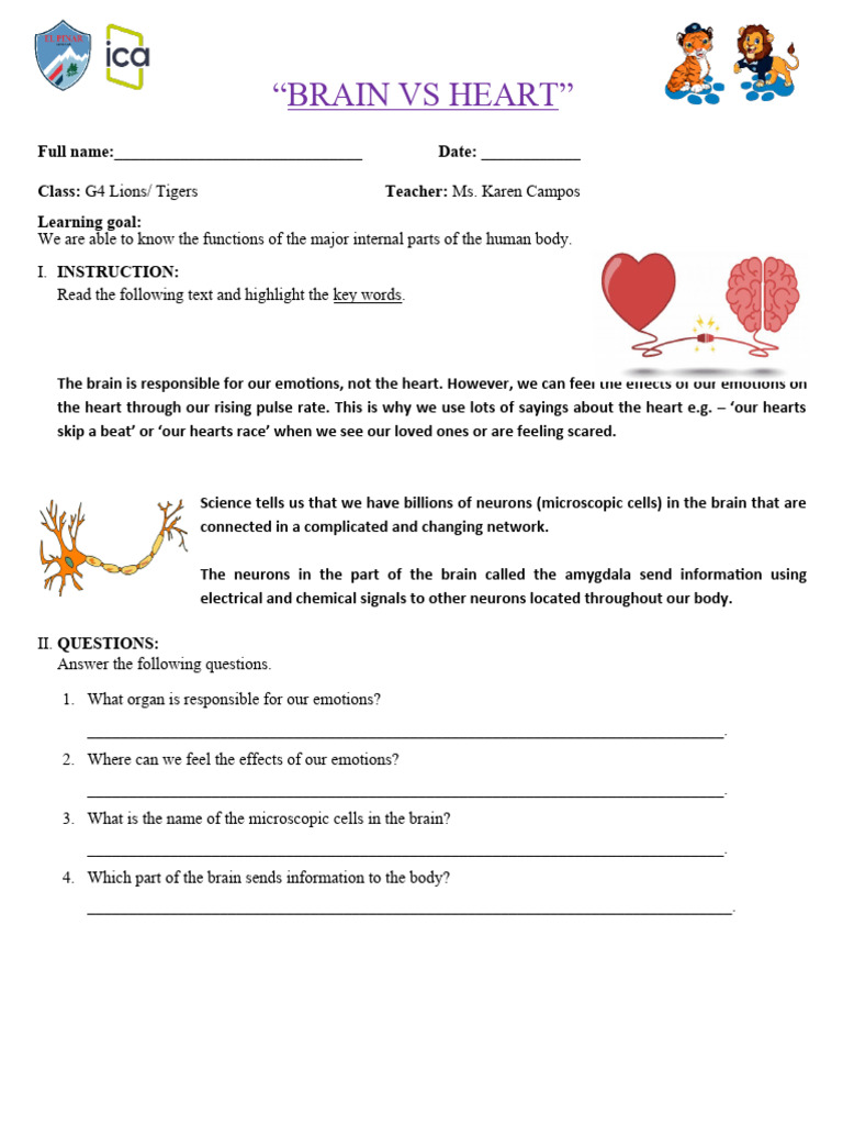 Brain VS Heart | PDF