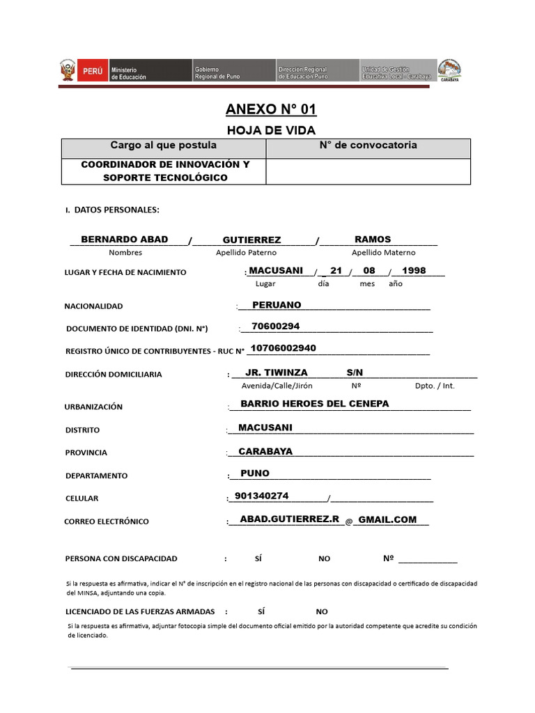 Anexos CAS 2024 - Sede | PDF | Documento de identidad