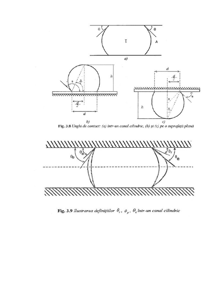 FZ Laborator | PDF