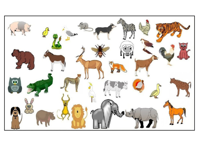 animales vertebrados e invertebrados para recortar | PDF