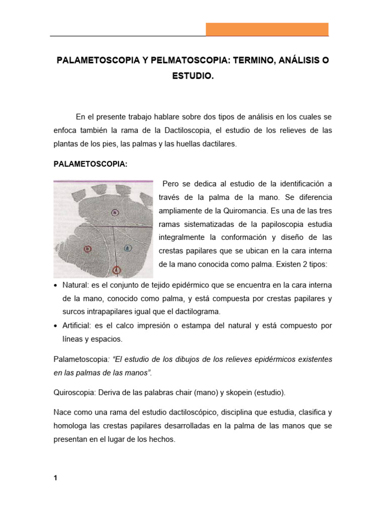 Palametoscopia y Pelmatoscopia | PDF | Huella dactilar | Ciencia forense