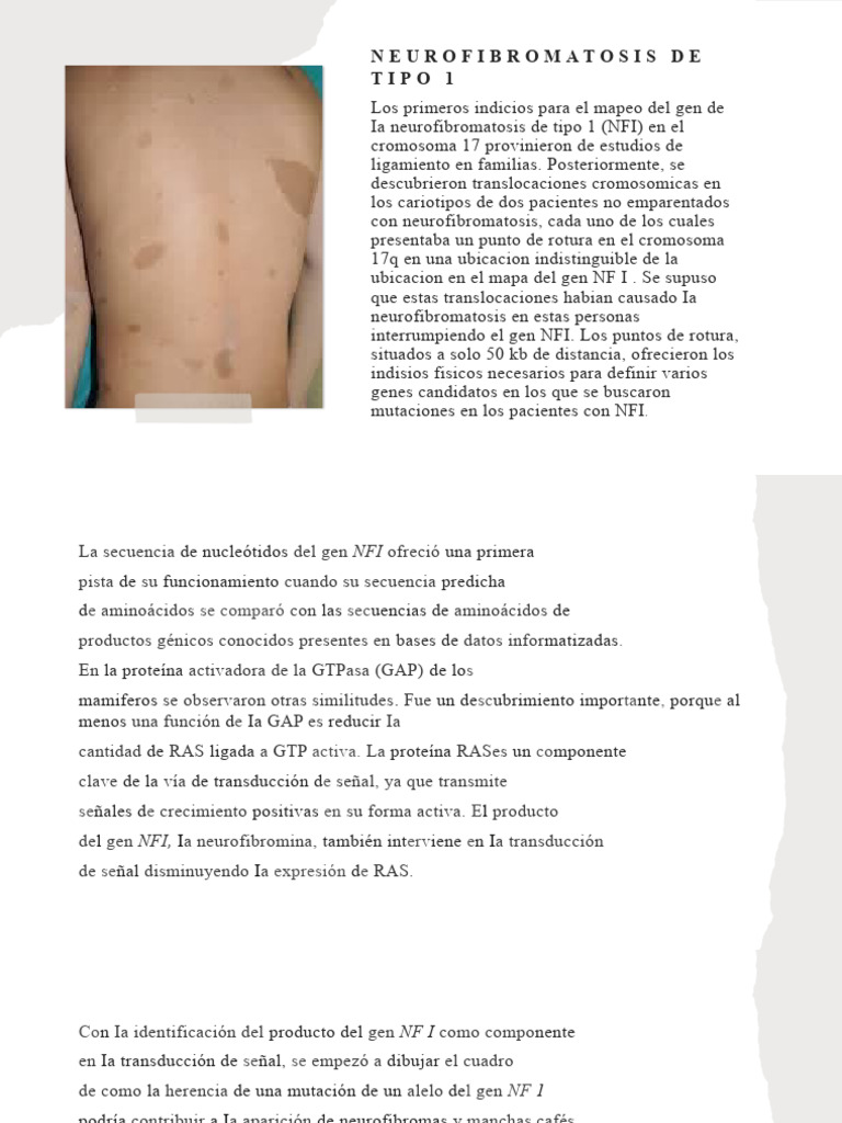 Neurofibromatosis de Tipo 1 Genetica..... | Descargar gratis PDF | P53 ...