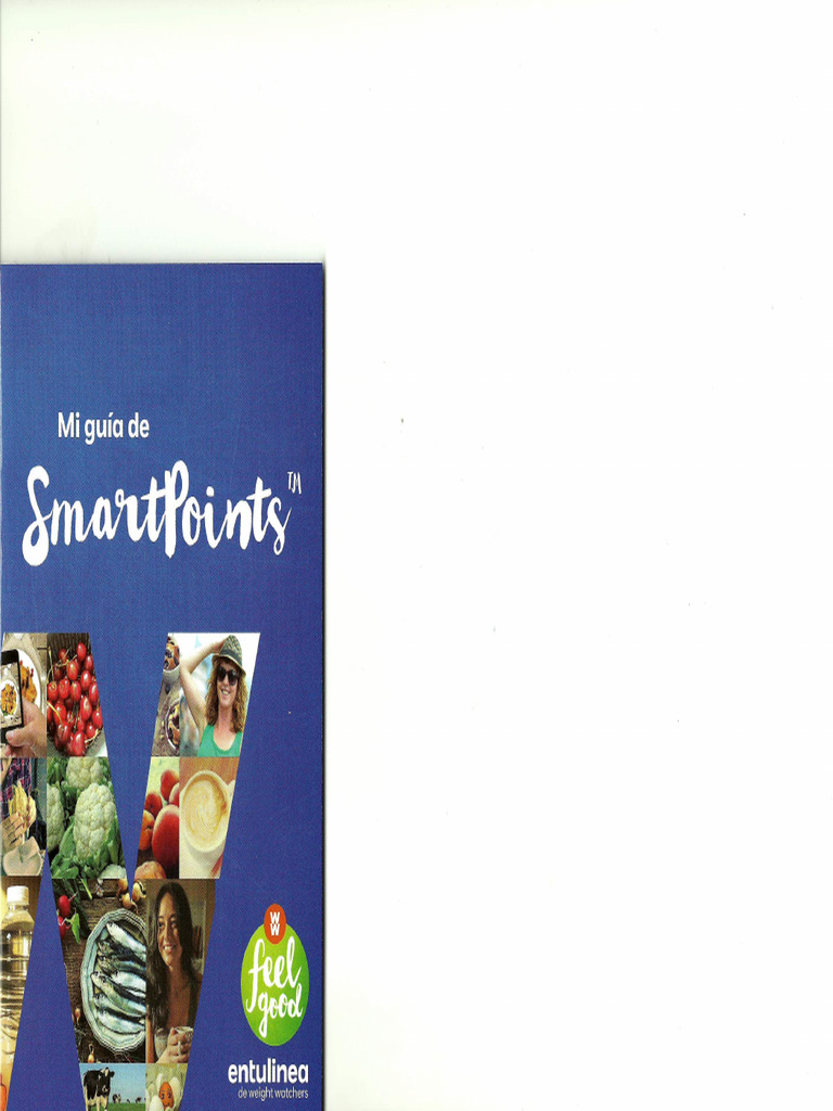 Guía de Puntos - PDF (Librito) | PDF