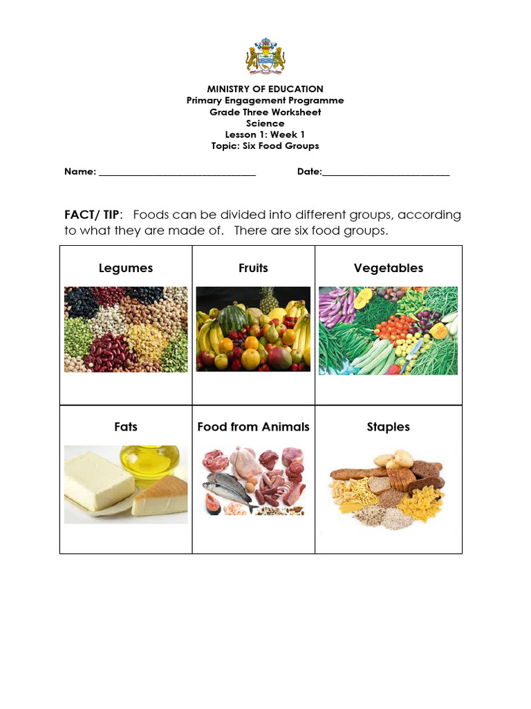FACT/ TIP: Foods Can Be Divided Into Different Groups, According | PDF ...