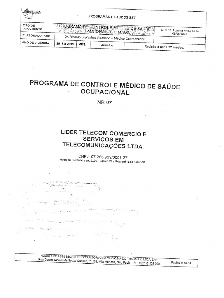 Pcmso 2018-2019 - Matriz | PDF