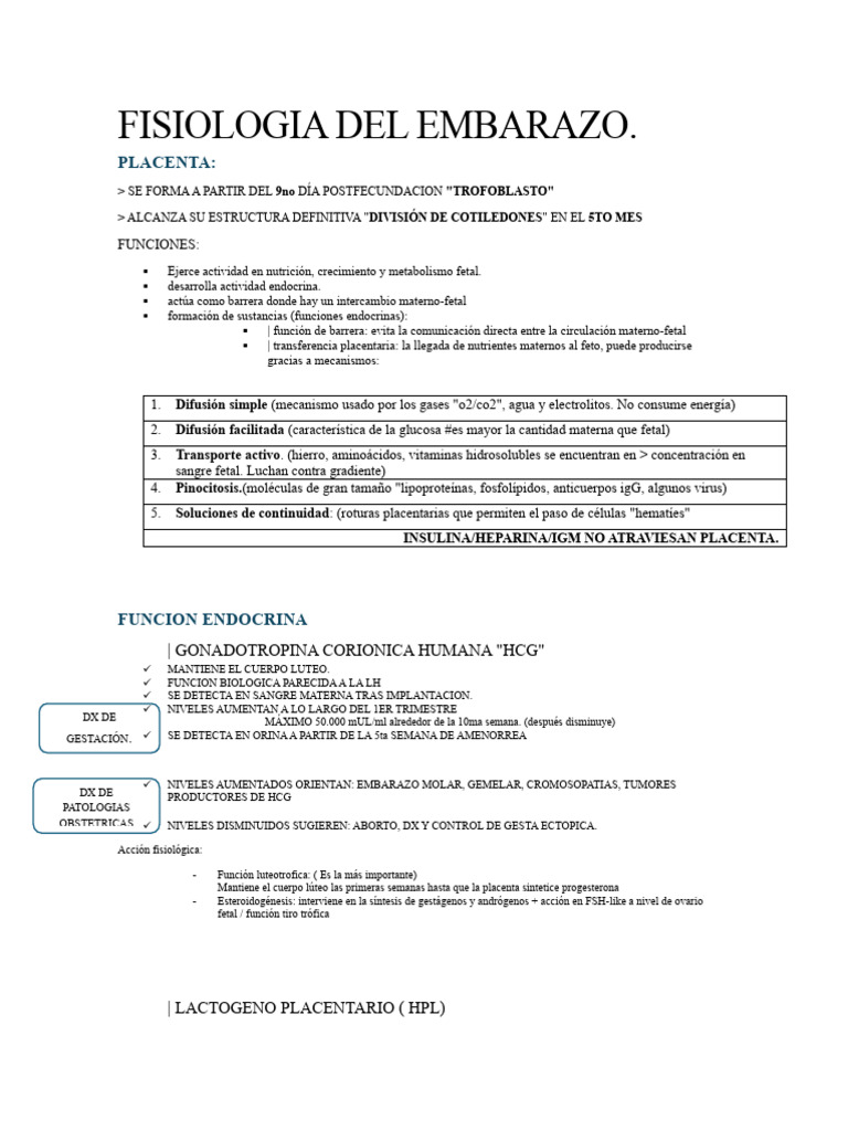 Fisiologia Del Embarazo Enarm | Descargar gratis PDF | Placenta | El ...