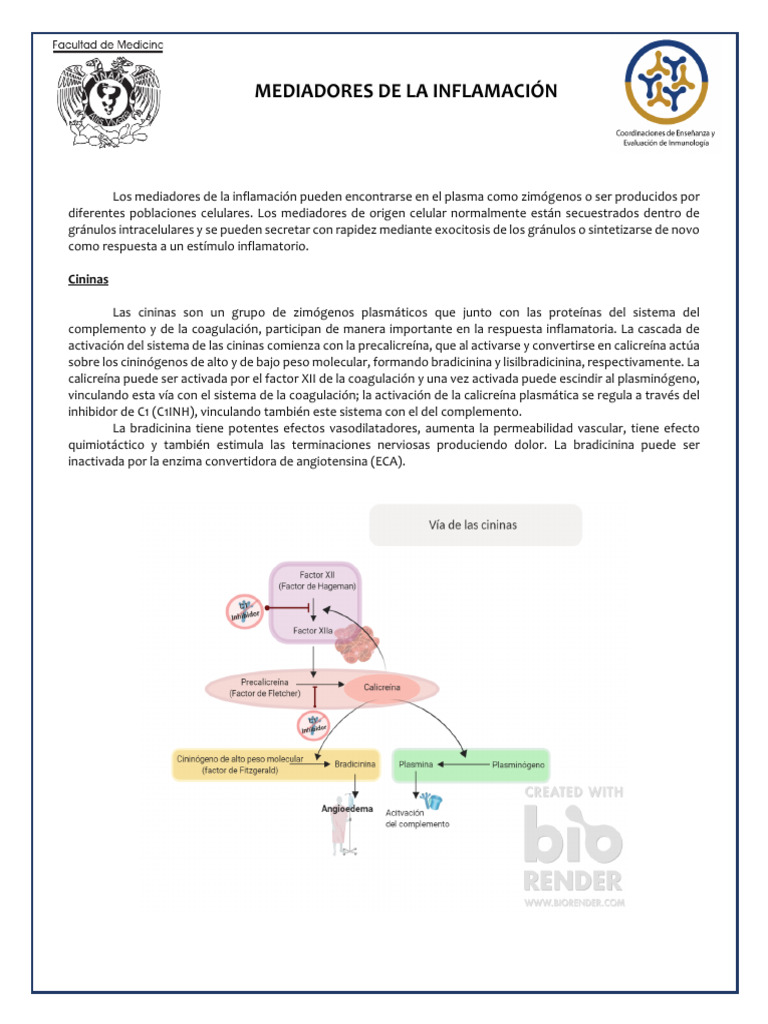 2020 Mediadores de La Inflamación | PDF | Inflamación | Sistema ...