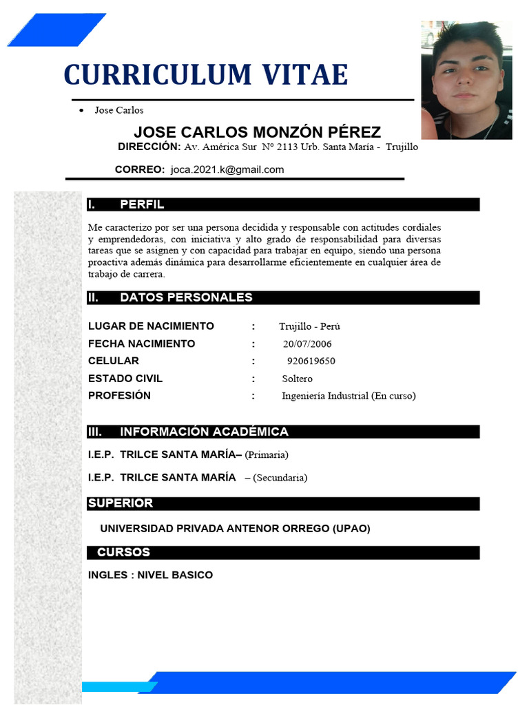 CV-jose Carlos Monzón | PDF