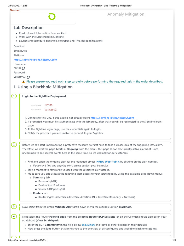 Netscout University - Lab - Blackhole Mitigation Flow Spec TMS - DNS | PDF | Ip Address | Router ...