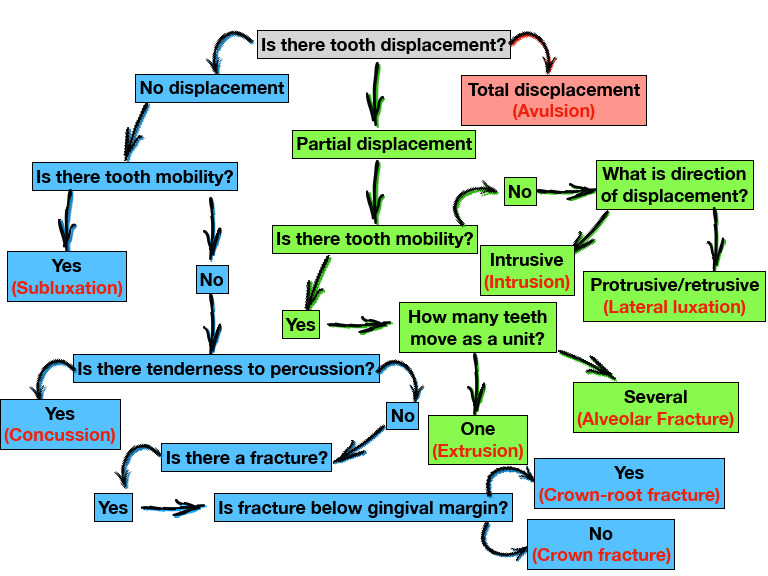 Dental Trauma Assessment Guide | PDF