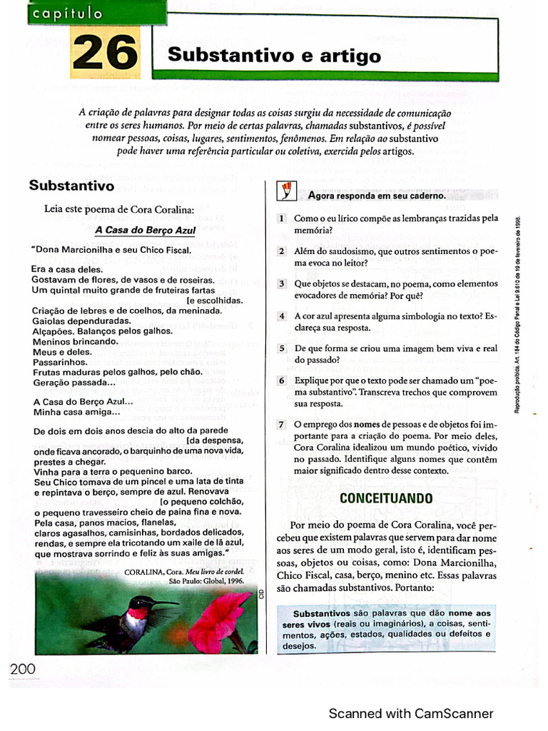 Substantivo e artigo | PDF