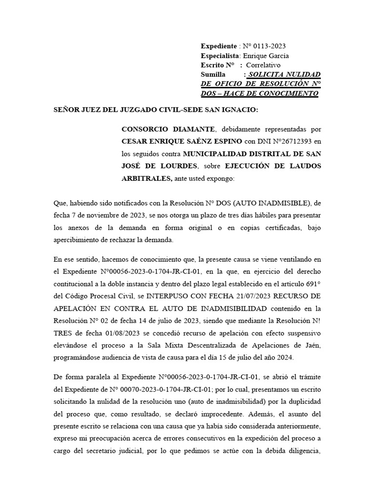 SOLICITA NULIDAD DE OFICIO | PDF | Demanda judicial | Anulación