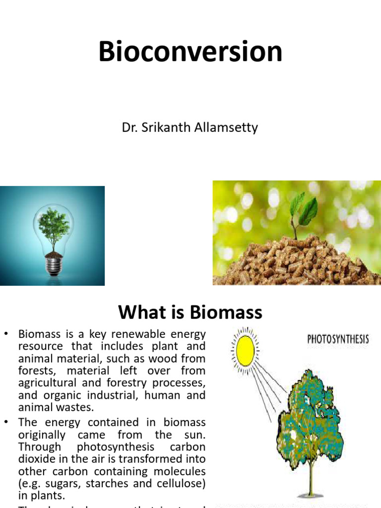 M4. Bioconversion | PDF | Gasification | Biofuel