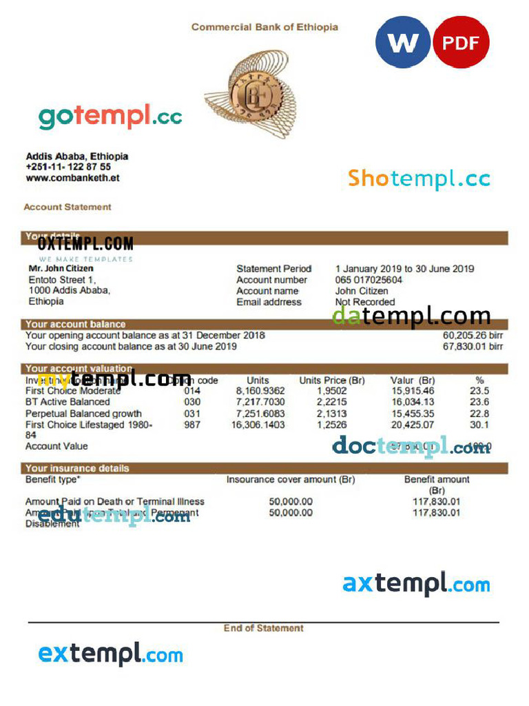 Doctempl - Ethiopia Commercial Bank of Ethiopia Bank statement template ...