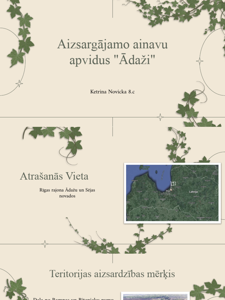 Adazi | PDF