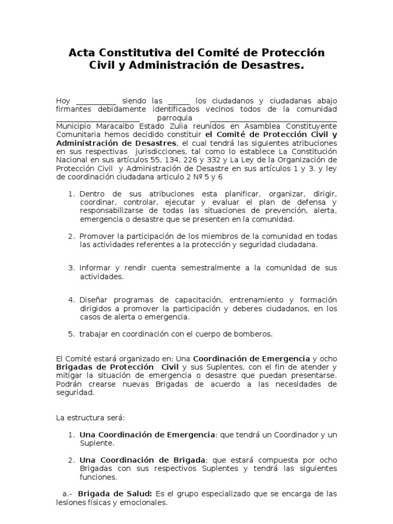 Acta Constitutiva Del Comité de Protección Civil y Administr | PDF | Gobierno | Desastres y ...