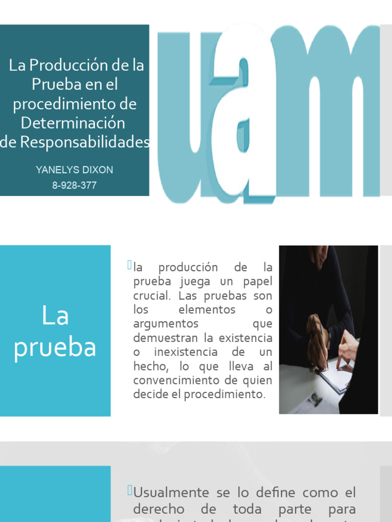 La Produccion de La Prueba PPT Yanelys D. | PDF