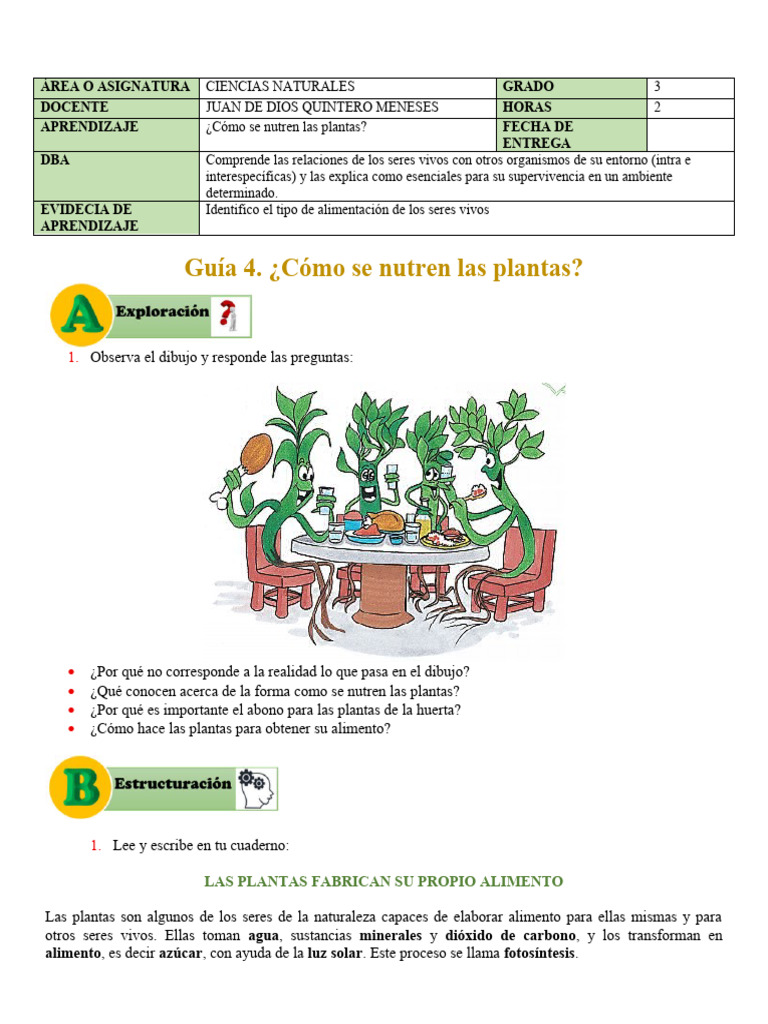 Nutrición de Plantas y Animales en la Huerta | PDF | Plantas | Fotosíntesis