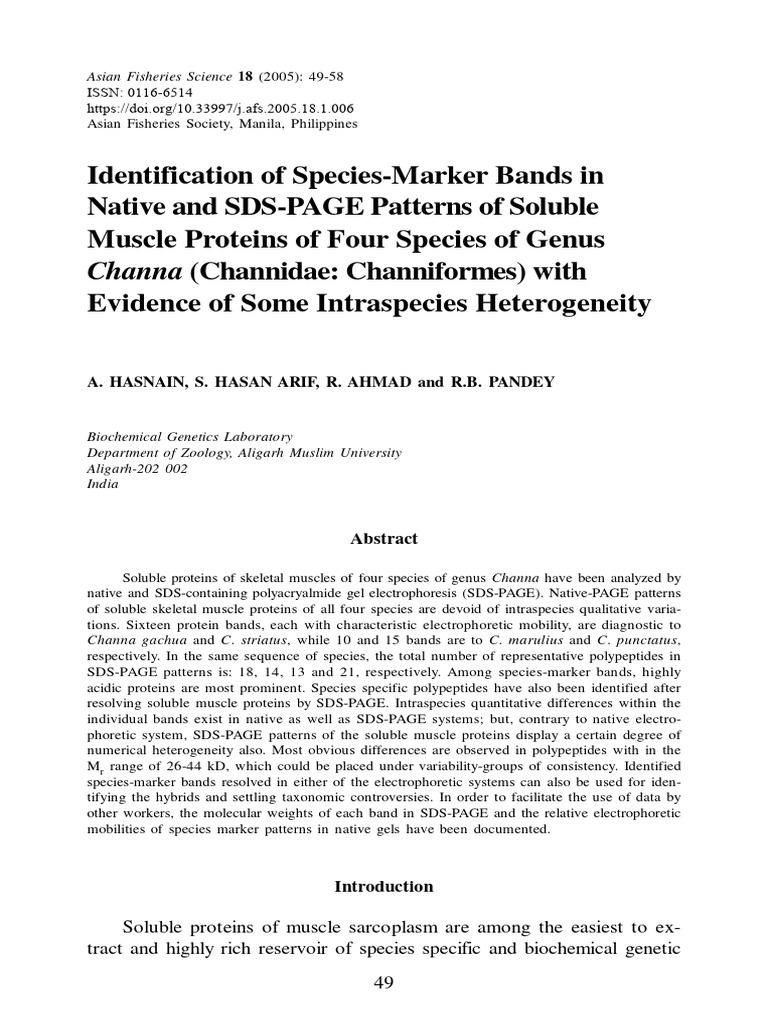 Identification of Species-Marker Bands in Native and SDS-PAGE Patterns ...