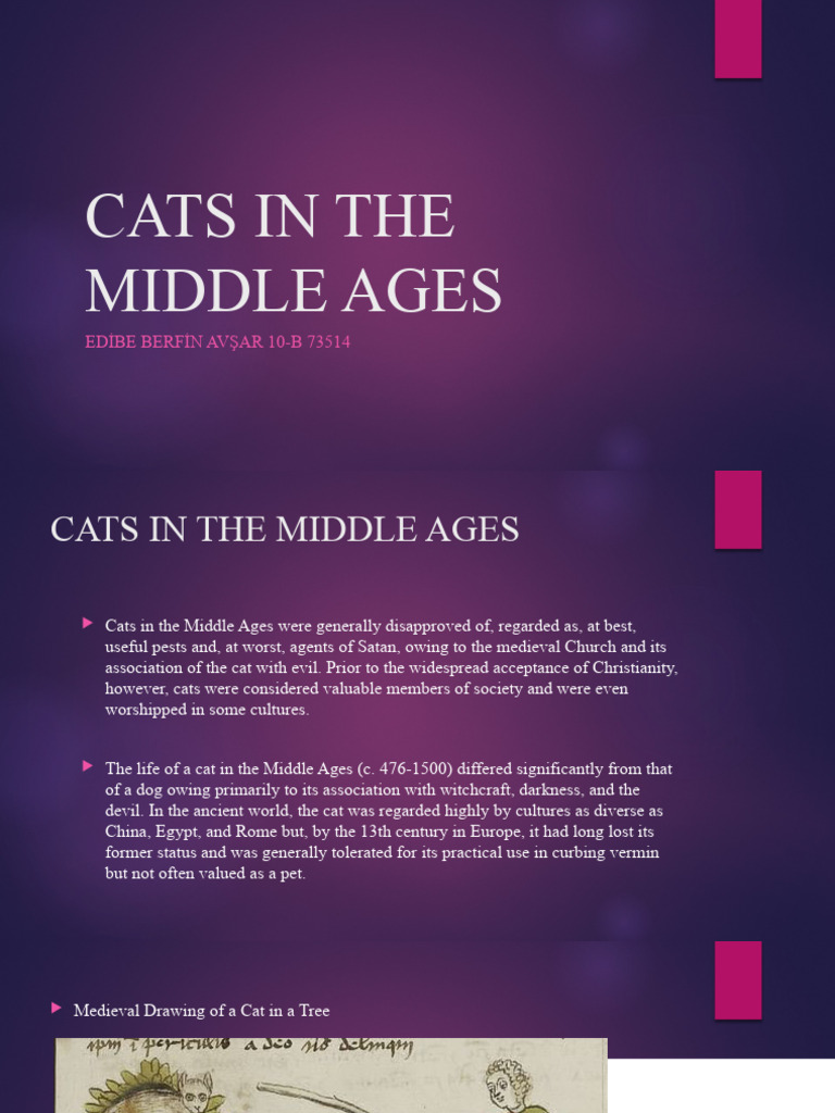 Cats in The Middle Ages | PDF