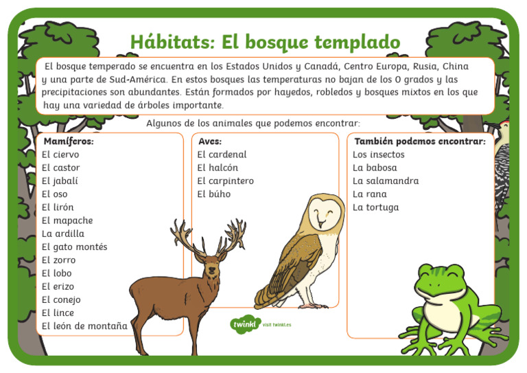 Fauna y Flora del Bosque Templado | PDF | Hogar, jardinería y bricolaje ...