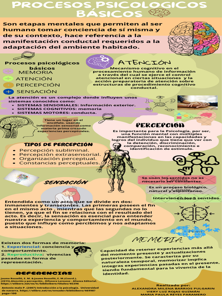 Infografía Procesos Psicologicos Basicos | Descargar gratis PDF | Percepción | Atención